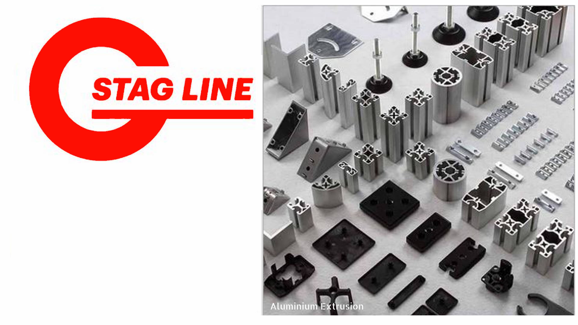 STAG LINE | MotulTech